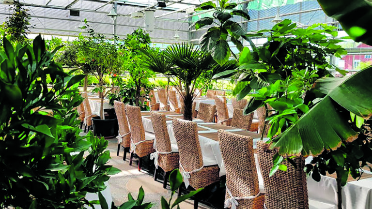 Linds Kök – ruokailu trooppisessa kasvihuoneravintolassa on todellinen ...